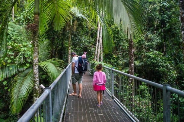 Daintree Tours - Things to do in the Daintree - Thrifty Family Travels