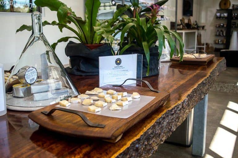The Best Barossa Wineries to Visit with Kids - Thrifty Family Travels