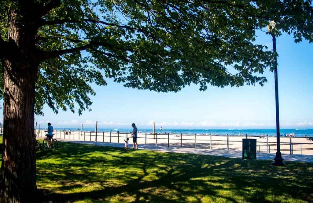 The Best Things to do with Kids in Rochester NY