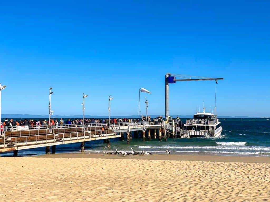 Visiting Tangalooma - Our Tangalooma Review