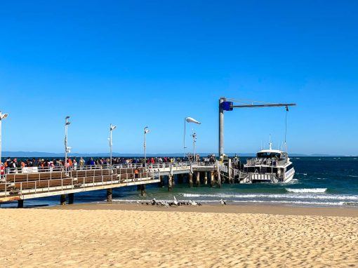 Visiting Tangalooma - Our Tangalooma Review