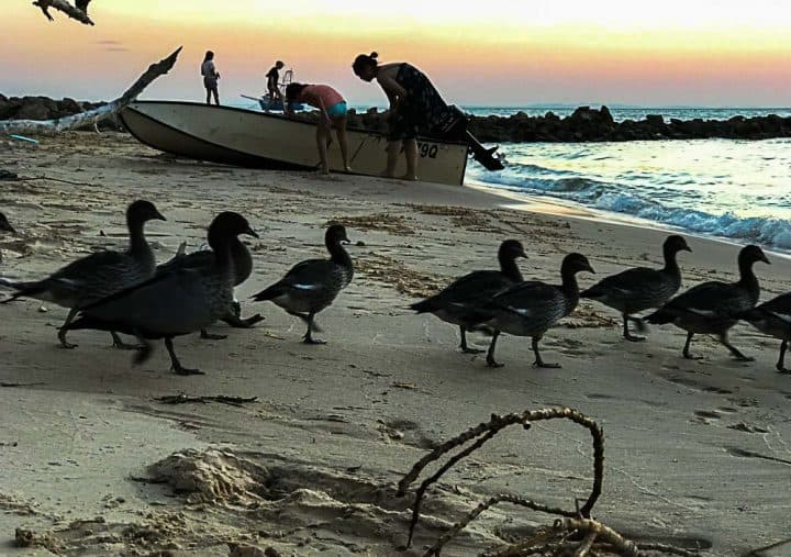 Camping at Amity Point - Stradbroke Island
