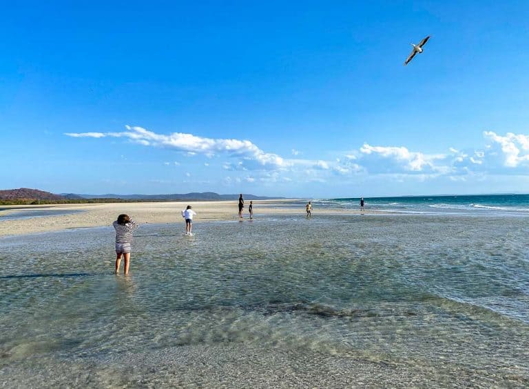 Camping at Amity Point - Stradbroke Island