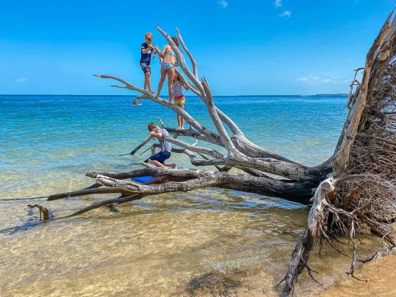 Camping at Amity Point - Stradbroke Island