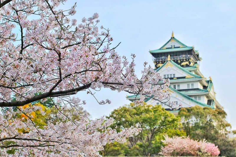 The Best Things to do in Osaka with Kids - Thrifty Family Travels