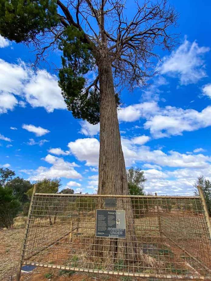 The Best Things to do in Cunnamulla, QLD - Thrifty Family Travels
