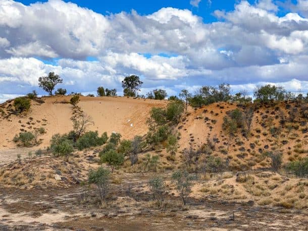 The Best Things to do in Cunnamulla, QLD - Thrifty Family Travels