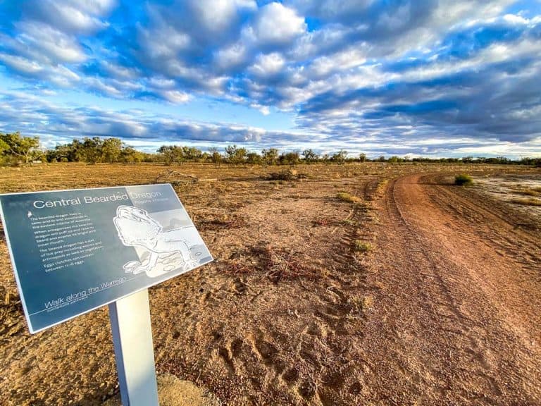 The Best Things to do in Cunnamulla, QLD - Thrifty Family Travels