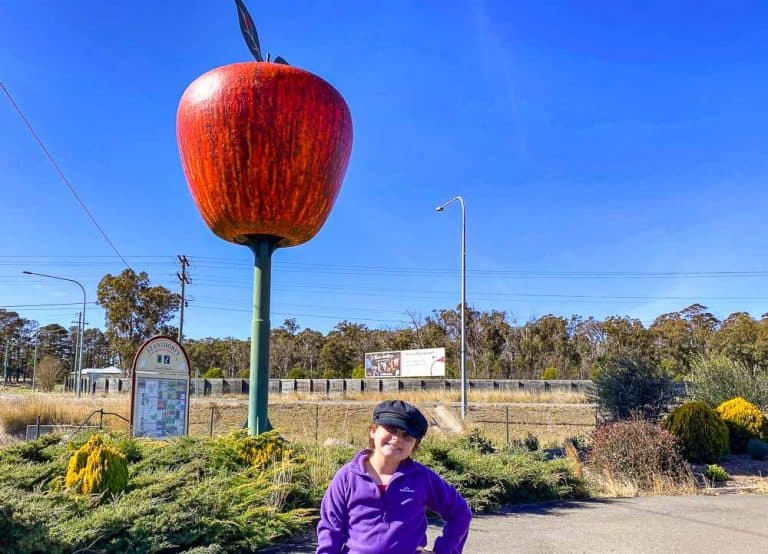 25 of the Very Best Things to do in Stanthorpe with Kids | Thrifty ...