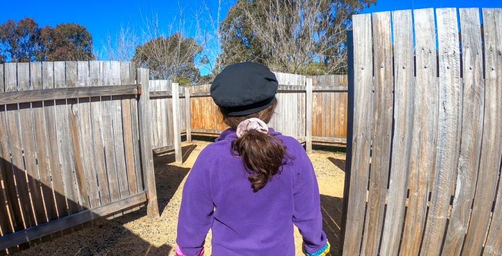 25 of the Very Best Things to do in Stanthorpe with Kids | Thrifty ...