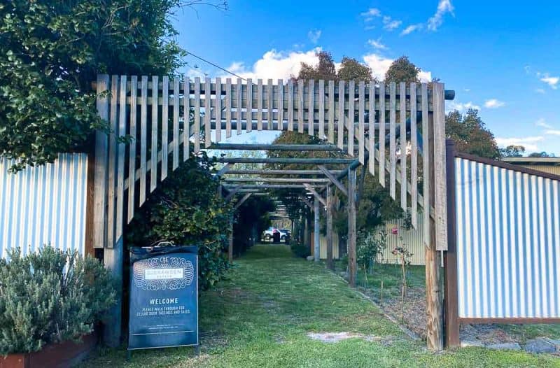 25 of the Very Best Things to do in Stanthorpe with Kids | Thrifty ...