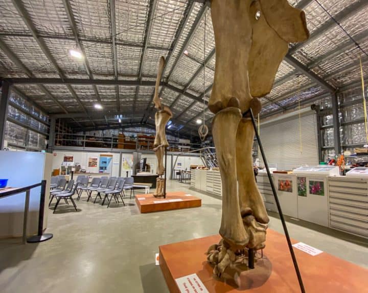 Eromanga: See the Eromanga Dinosaur Museum & More! - Thrifty Family Travels