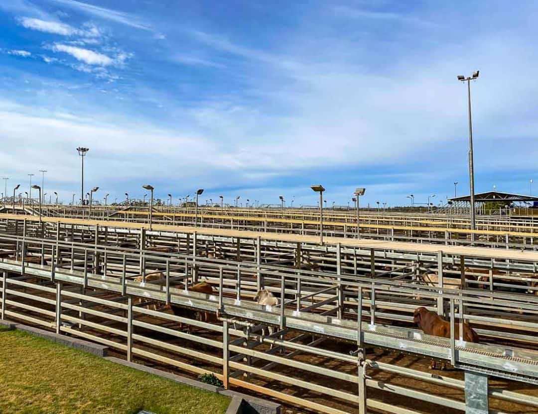 Best Things to do in Roma, Qld - Thrifty Family Travels