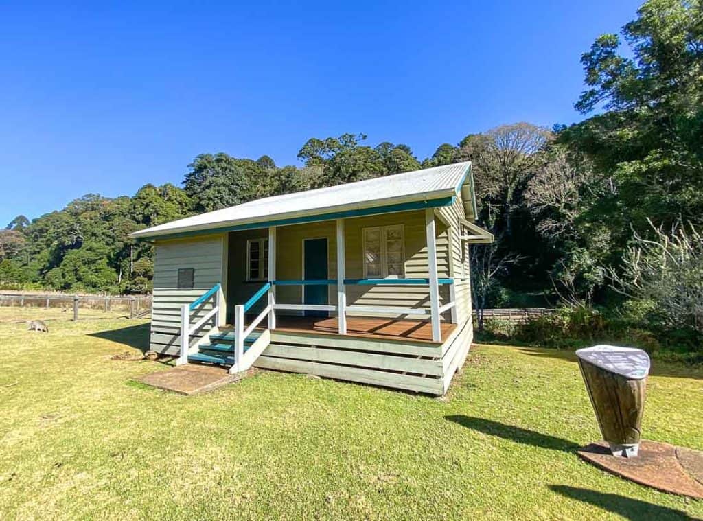 Best Things to do at Bunya Mountains - Thrifty Family Travels