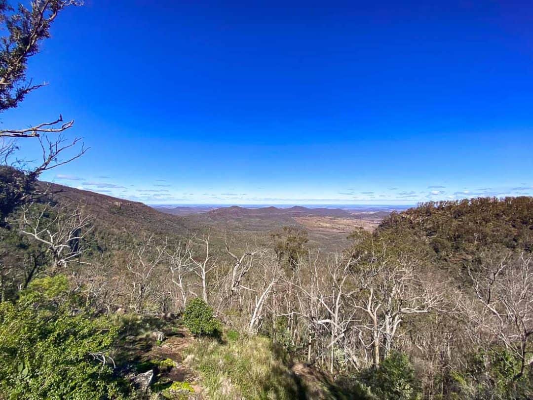 Best Things to do at Bunya Mountains - Thrifty Family Travels