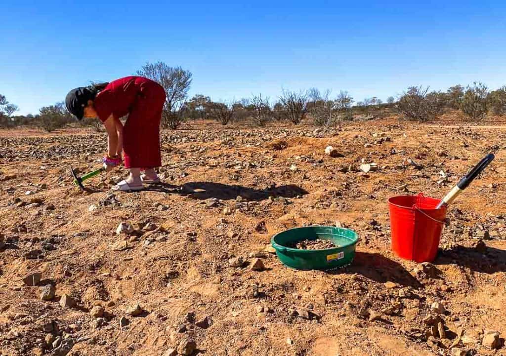 Best Things to do in Quilpie, Queensland - Thrifty Family Travels