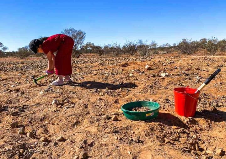 Best Things to do in Quilpie, Queensland - Thrifty Family Travels