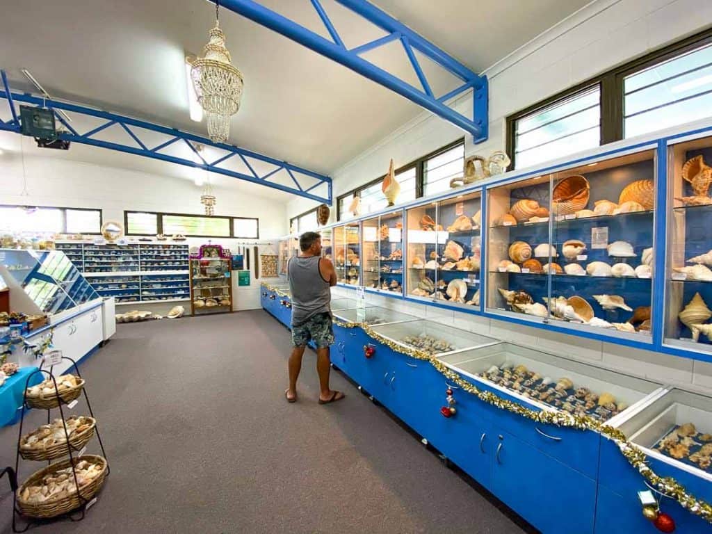 Best Things to do in Yeppoon with Kids - Thrifty Family Travels