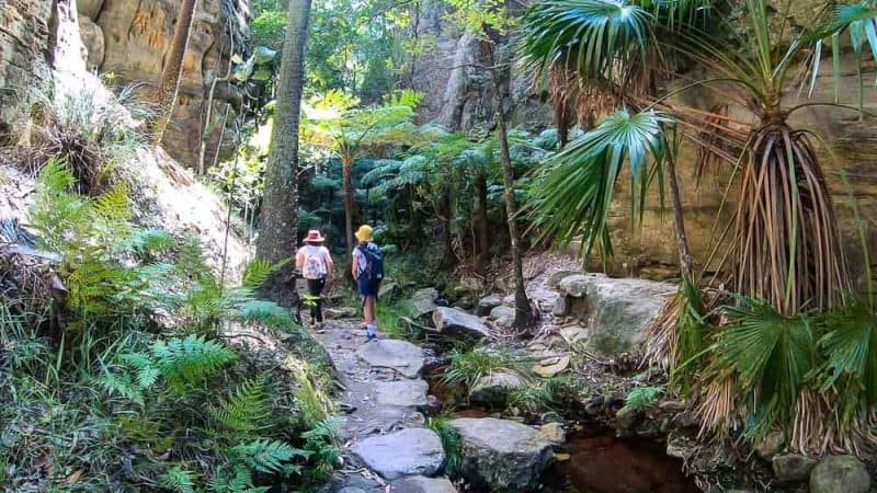 Visiting Carnarvon Gorge with Kids - Thrifty Family Travels