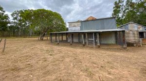 Things to do in Laura, QLD - Cape York - Thrifty Family Travels