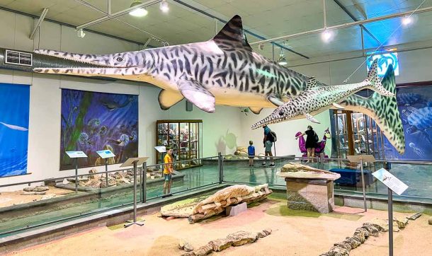 Things to do in Richmond, QLD - Thrifty Family Travels