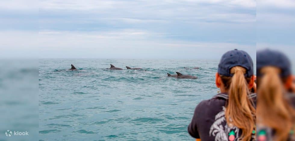 The Very Best Things to do in Noosa with Kids - Thrifty Family Travels